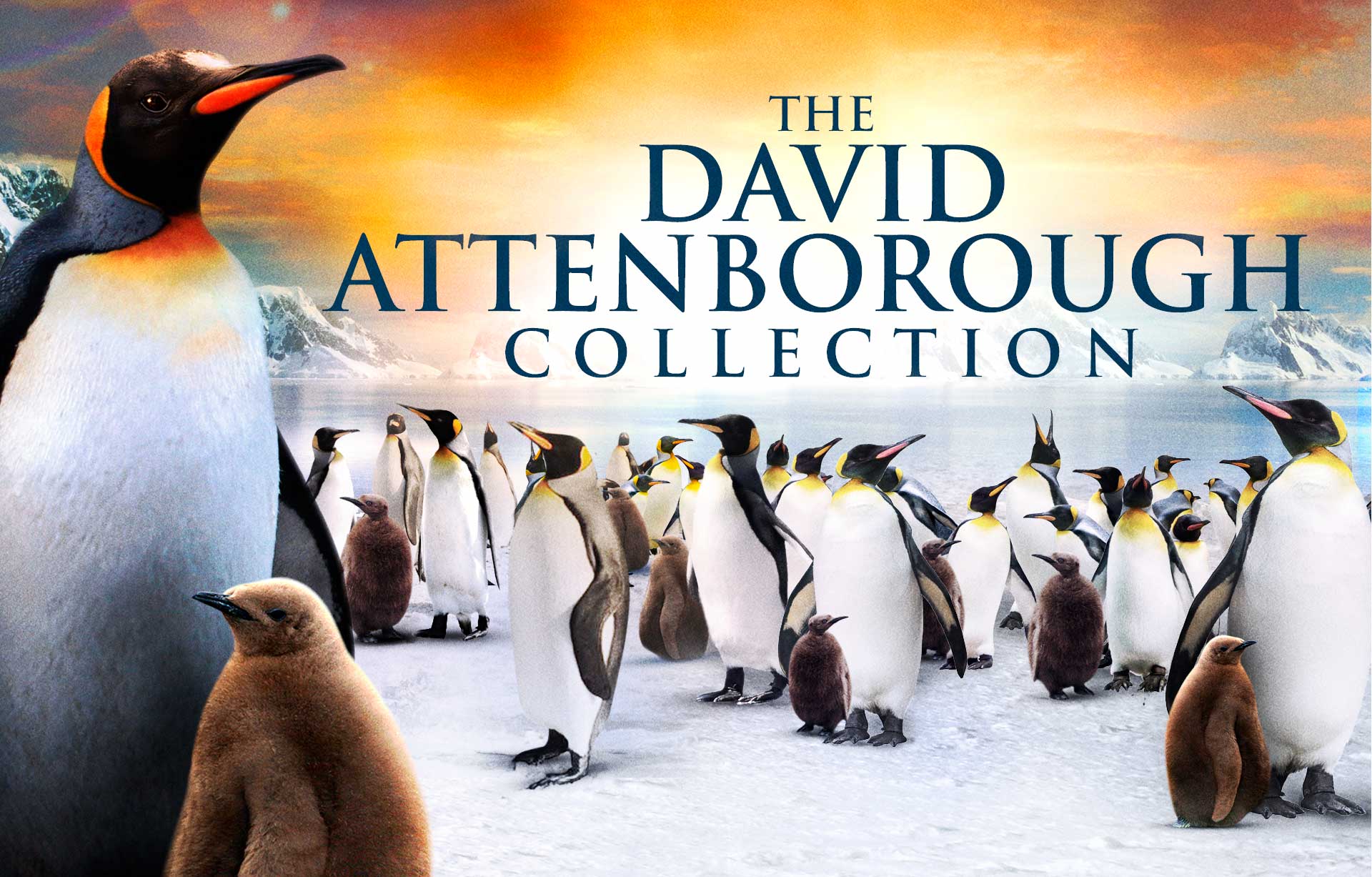 Debenhams Gifting | Space Five Creative